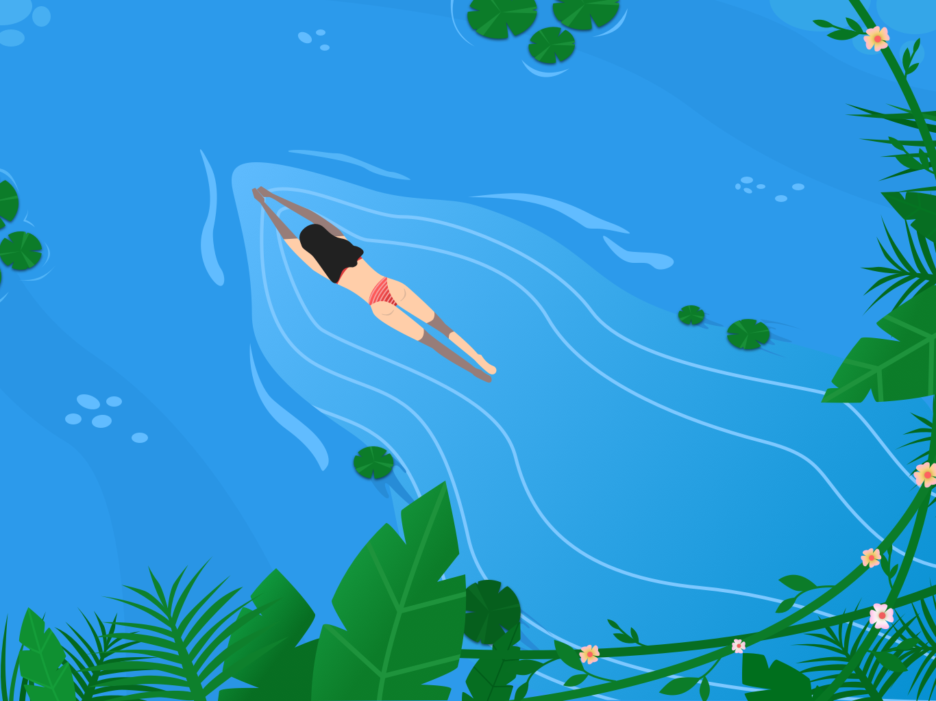 Swim Swim by Anam W P on Dribbble