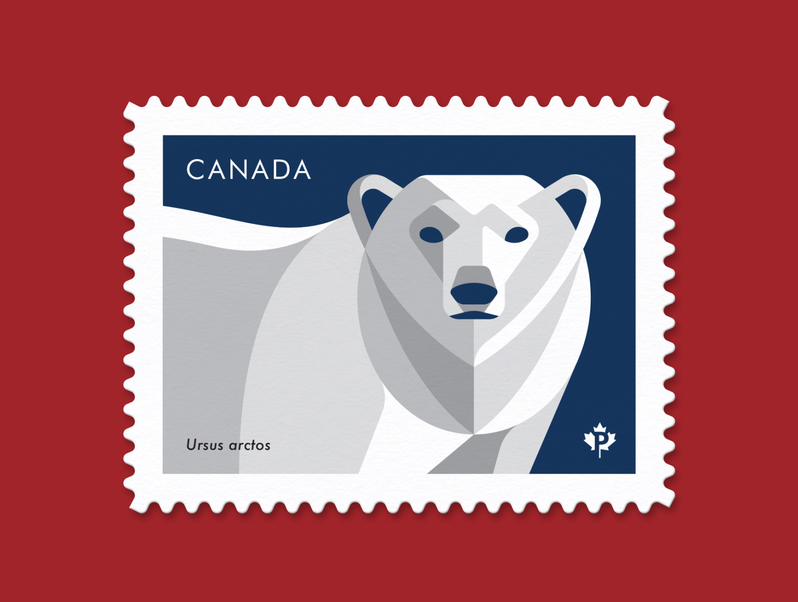 Canada Post Bear Stamps Exploration by DKNG on Dribbble