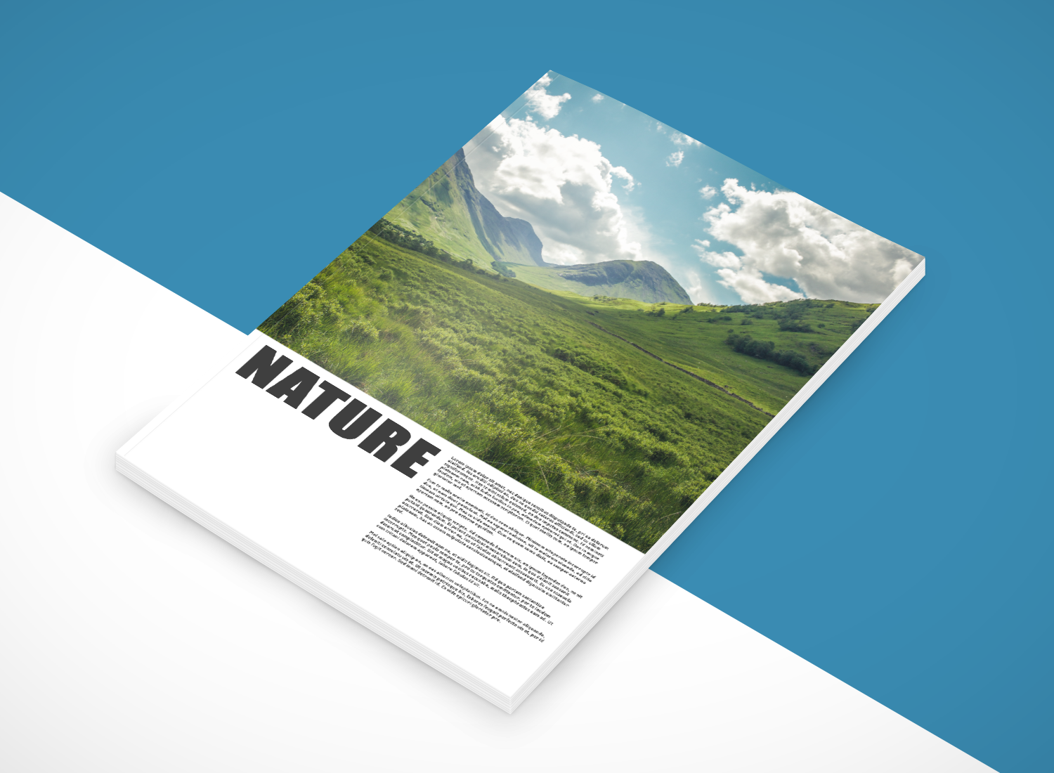 Dribbble - 800x600_book_nature_mockup.png by Barin Christian