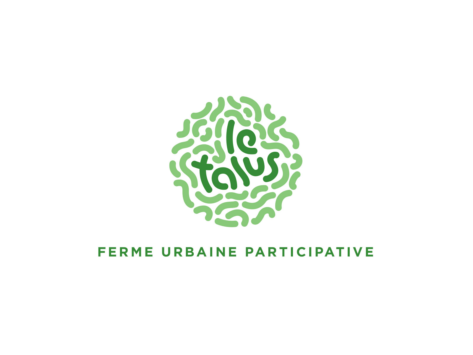 letalus by thierry bronchart on Dribbble