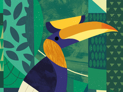 Calao by Benjamin Flouw on Dribbble