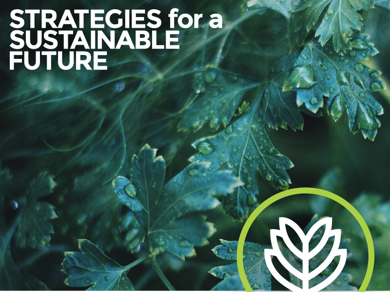 SFasF Logo Application by Andrew Spencer on Dribbble