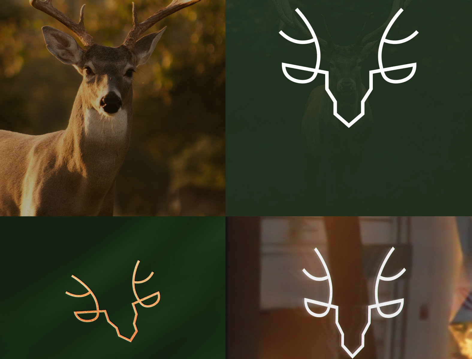 Deer logo by Manit kumar on Dribbble