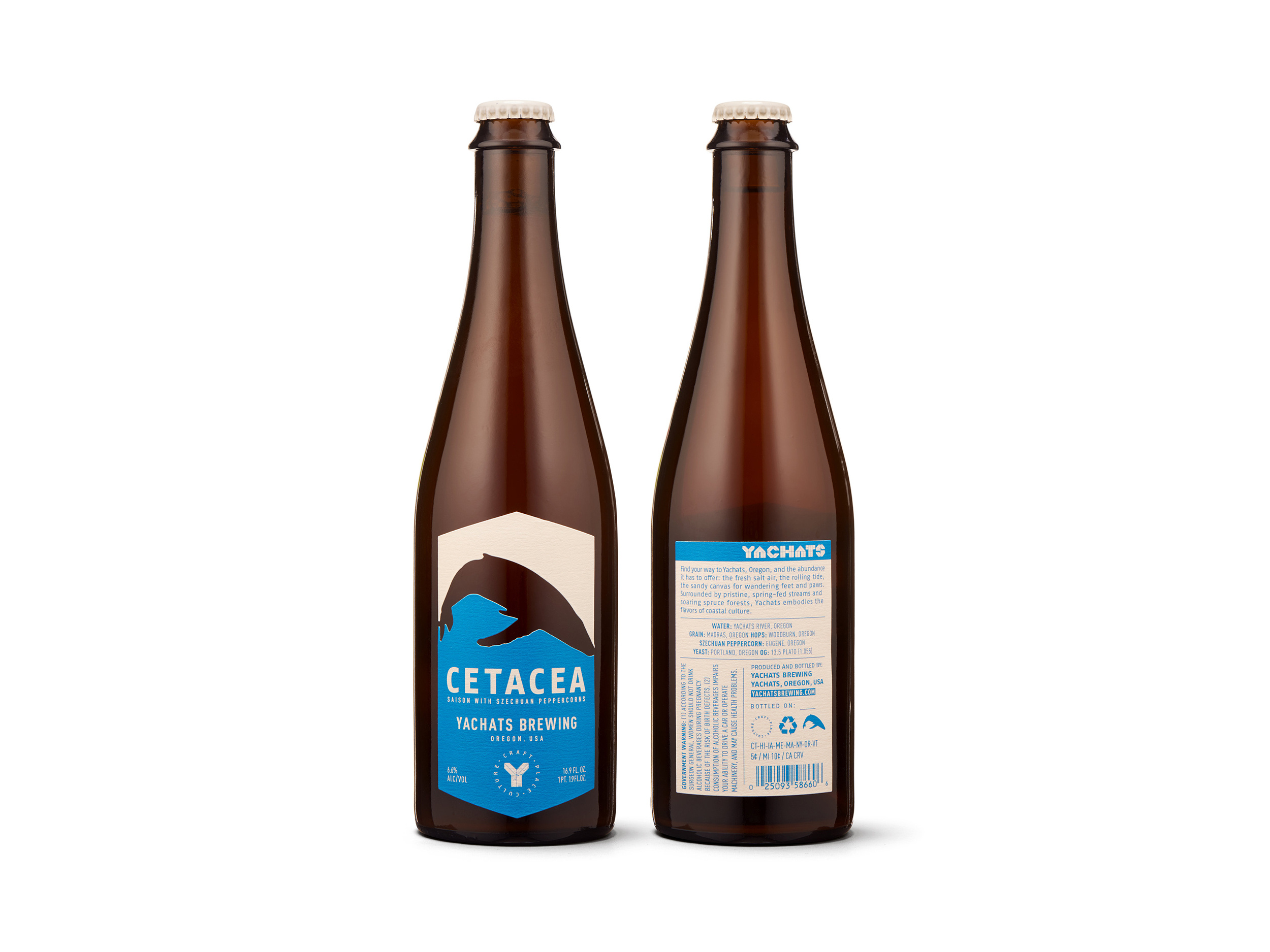 Cetacea by James Aloysius on Dribbble