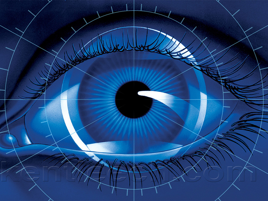 Eye by Kent Leech on Dribbble