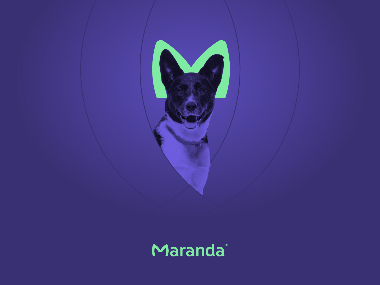 Maranda Brand Direction by Tom Dorwaldt on Dribbble