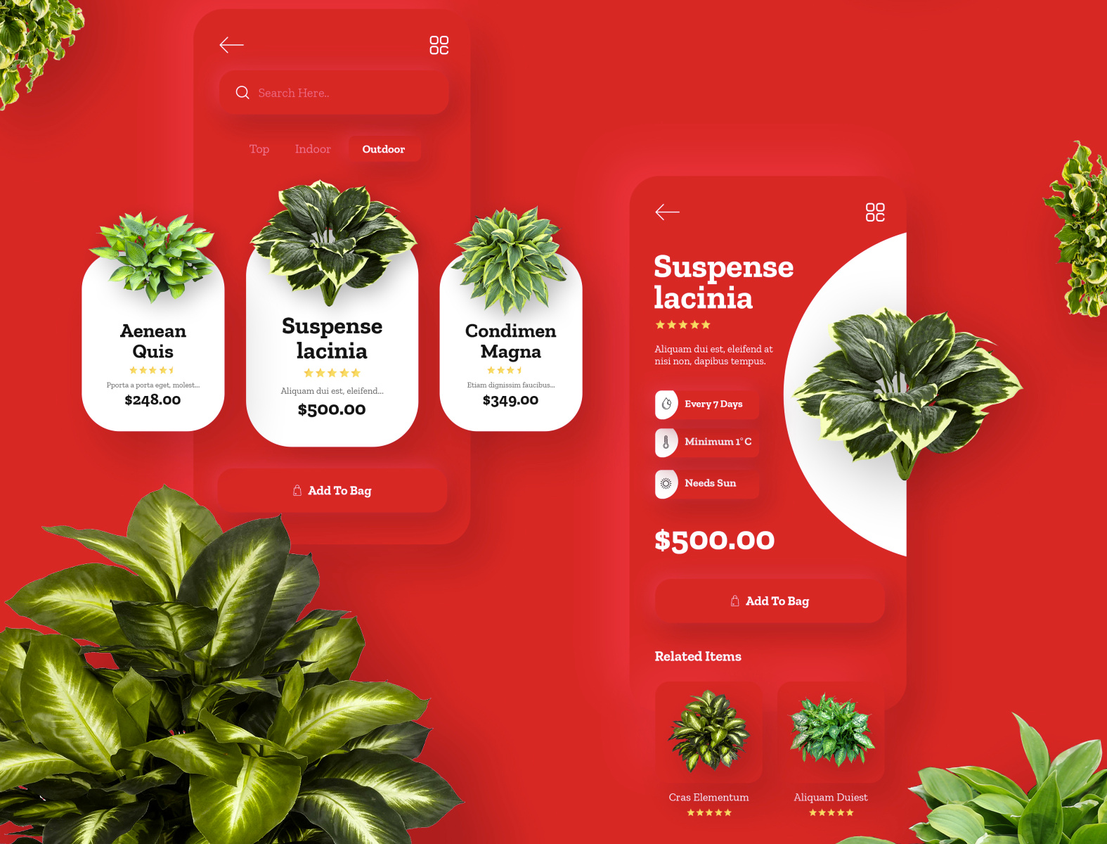 Plant shop UI by riyana das on Dribbble