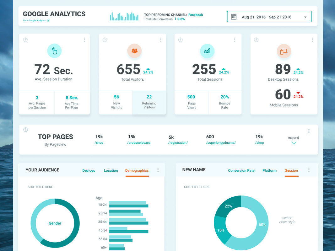 Dribbble - analytics-dashboard.jpg by Nick Jackson