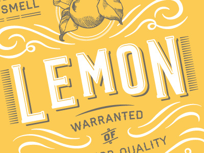 Lemon Packaging by Daydrift on Dribbble