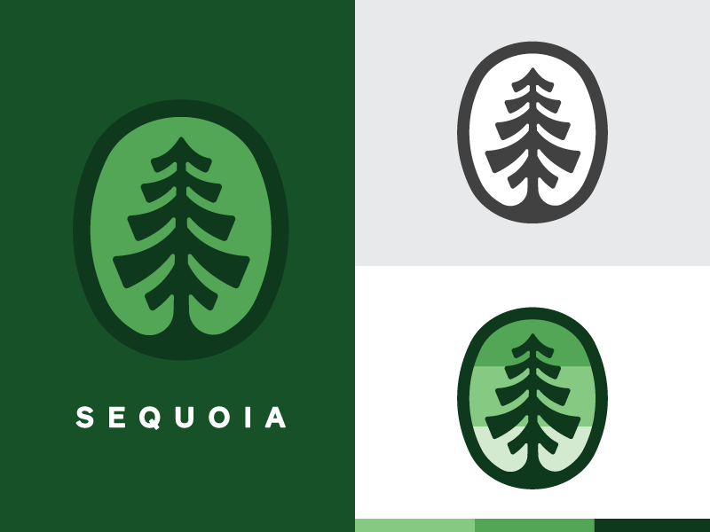 Sequoia by Nick Slater on Dribbble