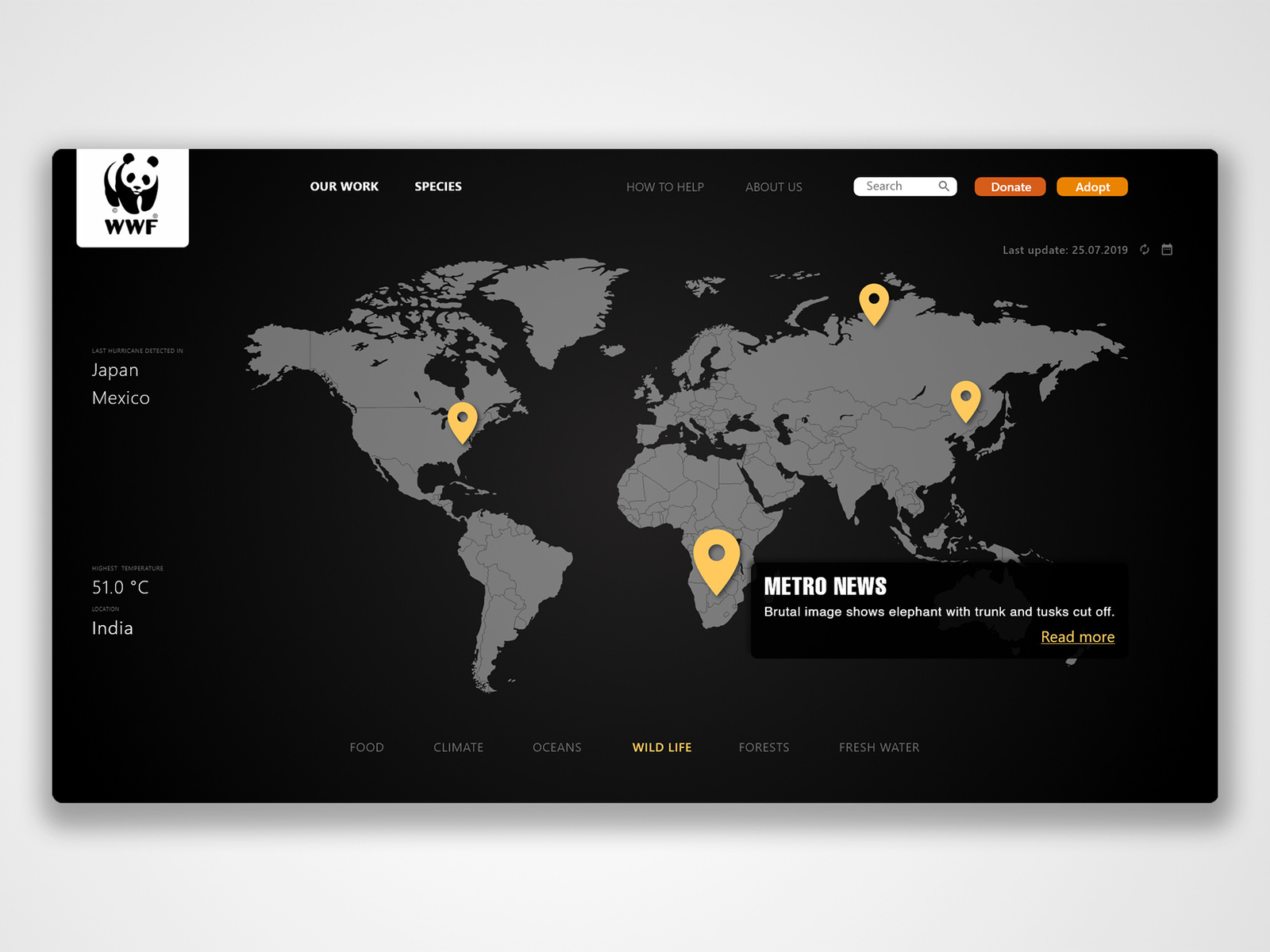 Wwf news search by Norbert on Dribbble