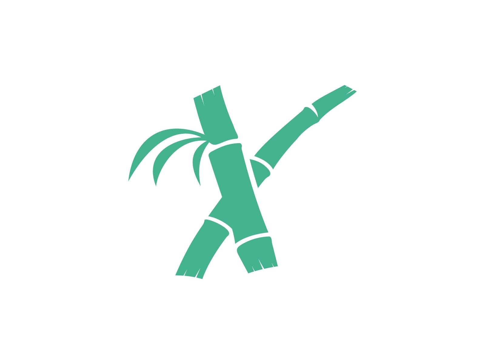 Bamboo Logo by Brand Semut on Dribbble