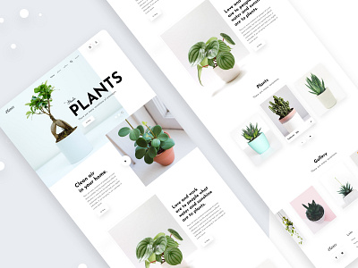 Plant Shop Landing Page by Rifat on Dribbble