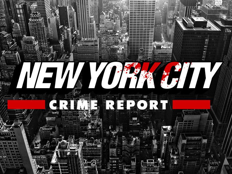New York City Crime Report Identity by Blow. on Dribbble