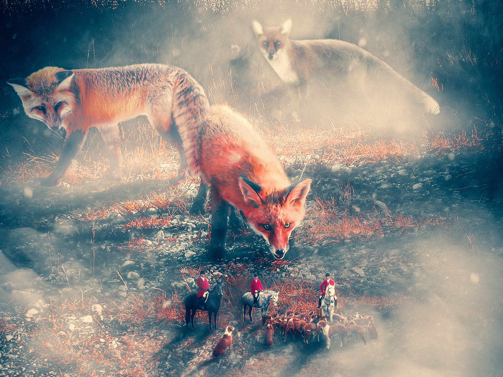 The Hunted by Stephen Done on Dribbble