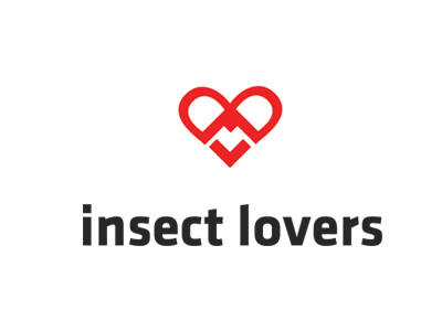 insect lovers by Paweł Pniewski on Dribbble