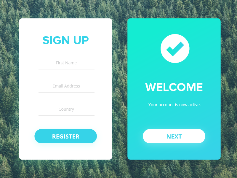 Sign Up & Welcome Interface by Alex on Dribbble