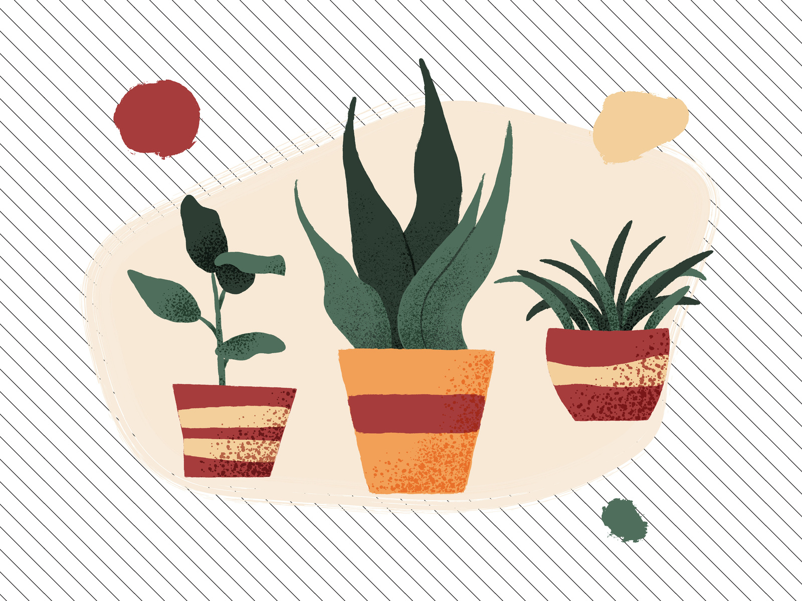 Houseplants vector illustration by Elina on Dribbble