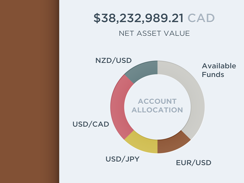 Account Allocation by Jian Adornado on Dribbble
