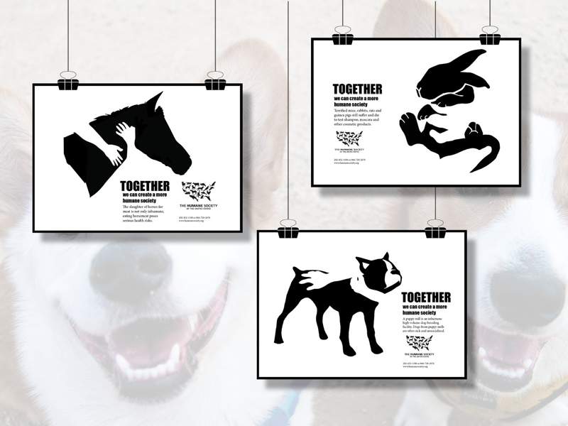 POSTER CAMPAIGN FOR THE HUMANE SOCIETY by Cornelia Yu Lai on Dribbble