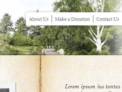 Book navigation by Cole Henley on Dribbble