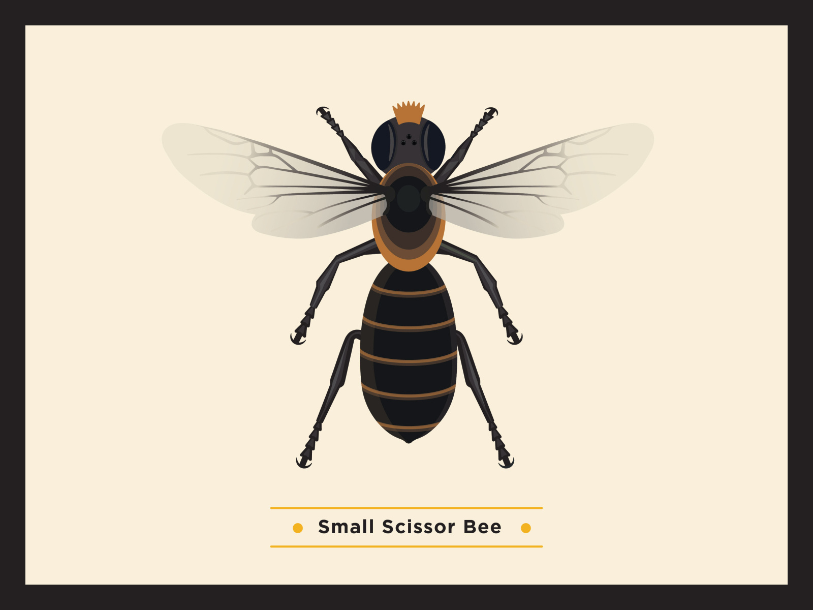 Small Scissor Bee by Ezgi Ç. on Dribbble