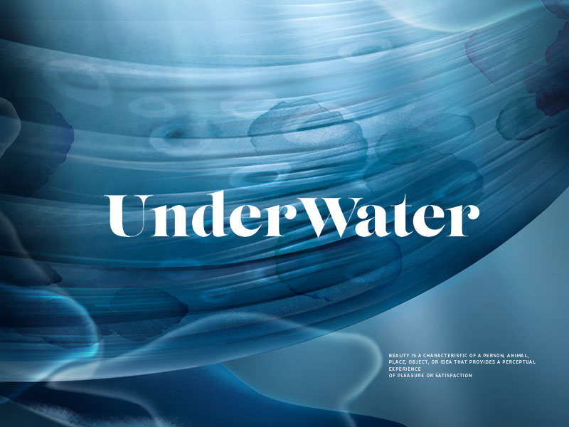 Great design by So Nice Design | Dribbble