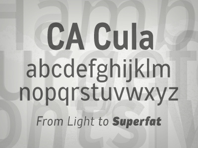 CA Cula by Thomas Schostok on Dribbble