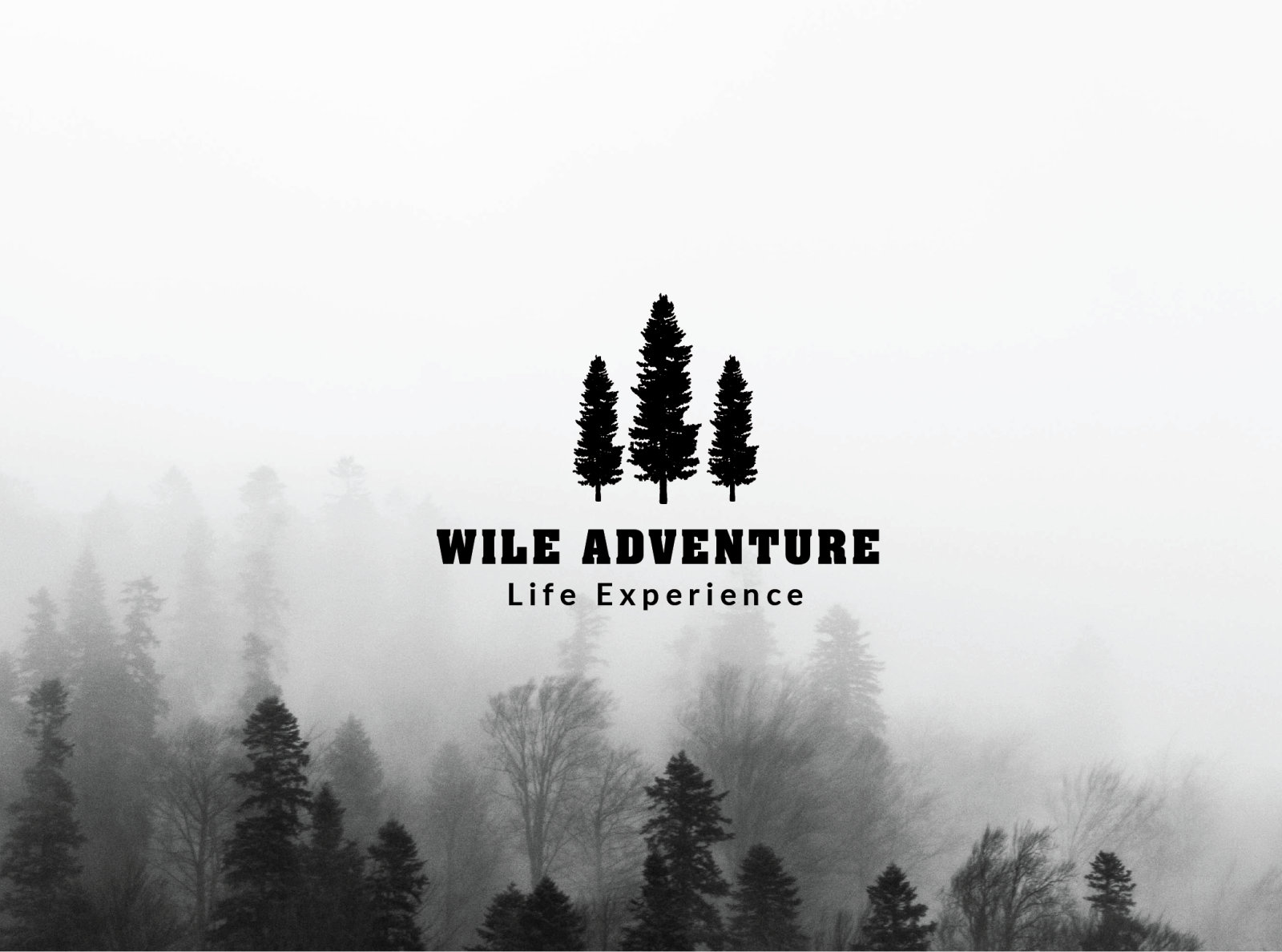 Logo design by KNz_Max on Dribbble