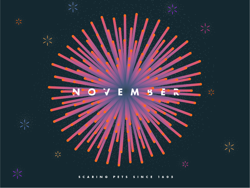 November by Matt Hillman on Dribbble