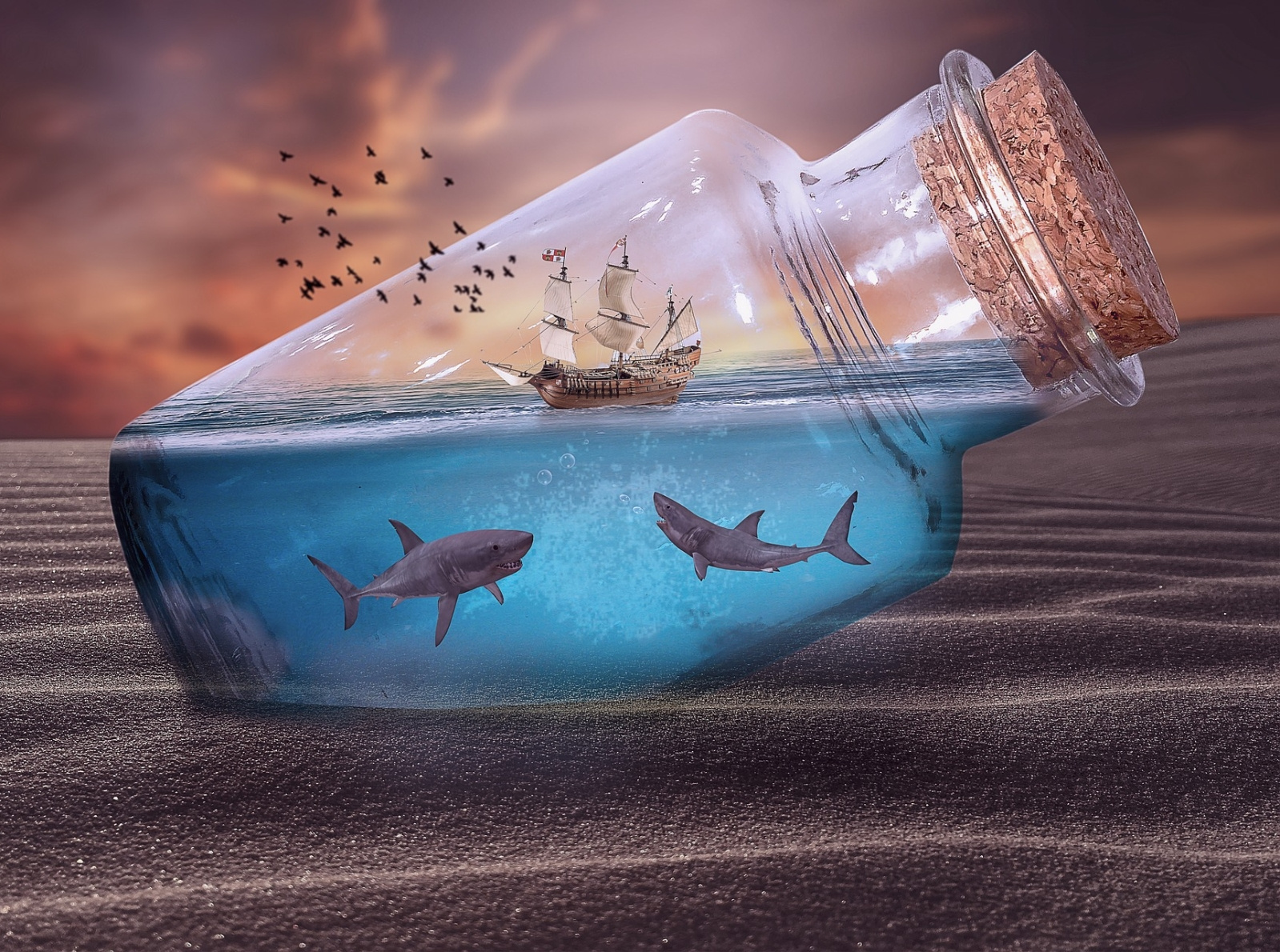 Fish Water Edting Manipulation by Being Hassan on Dribbble