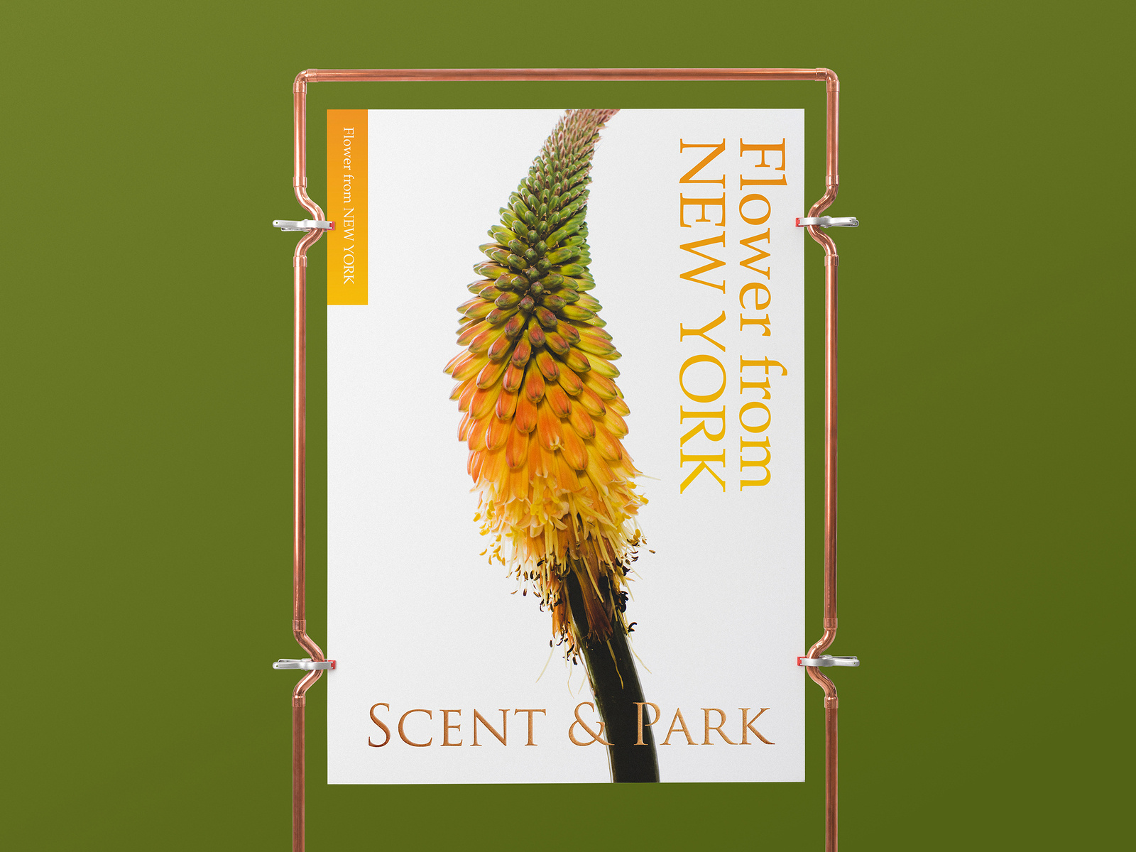 Scent&Park Art poster by studio Lad on Dribbble