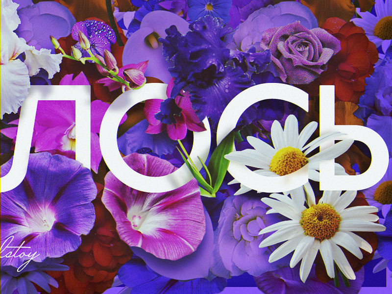 Spring. 1st of March by oleksii tolstoy on Dribbble