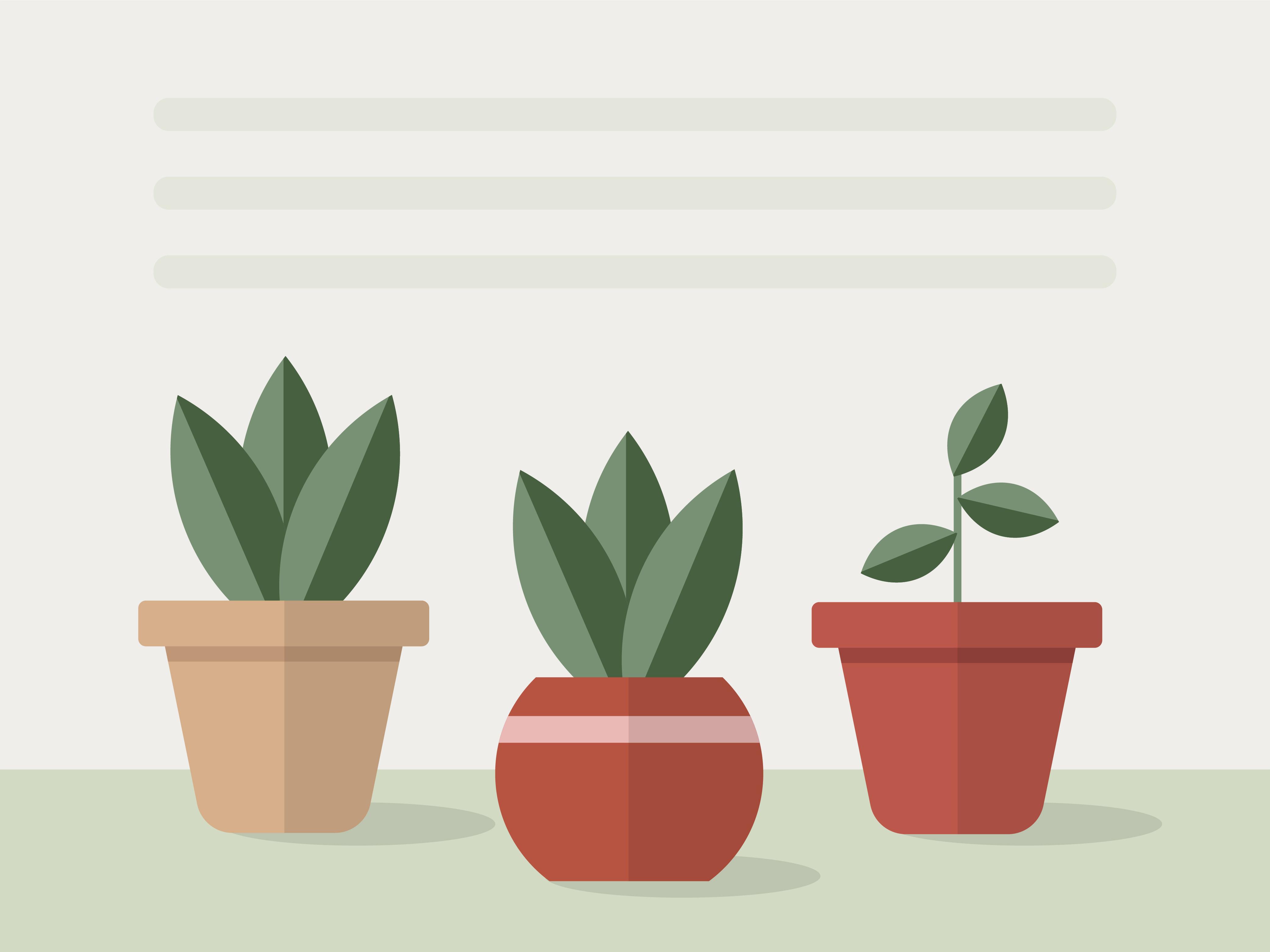 Plants in terracotta pots by Kelly Macaskill on Dribbble