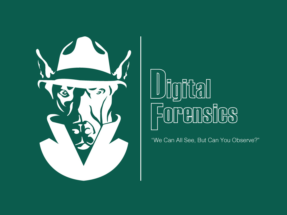 Digital Forensics Logo by A M Ridho on Dribbble