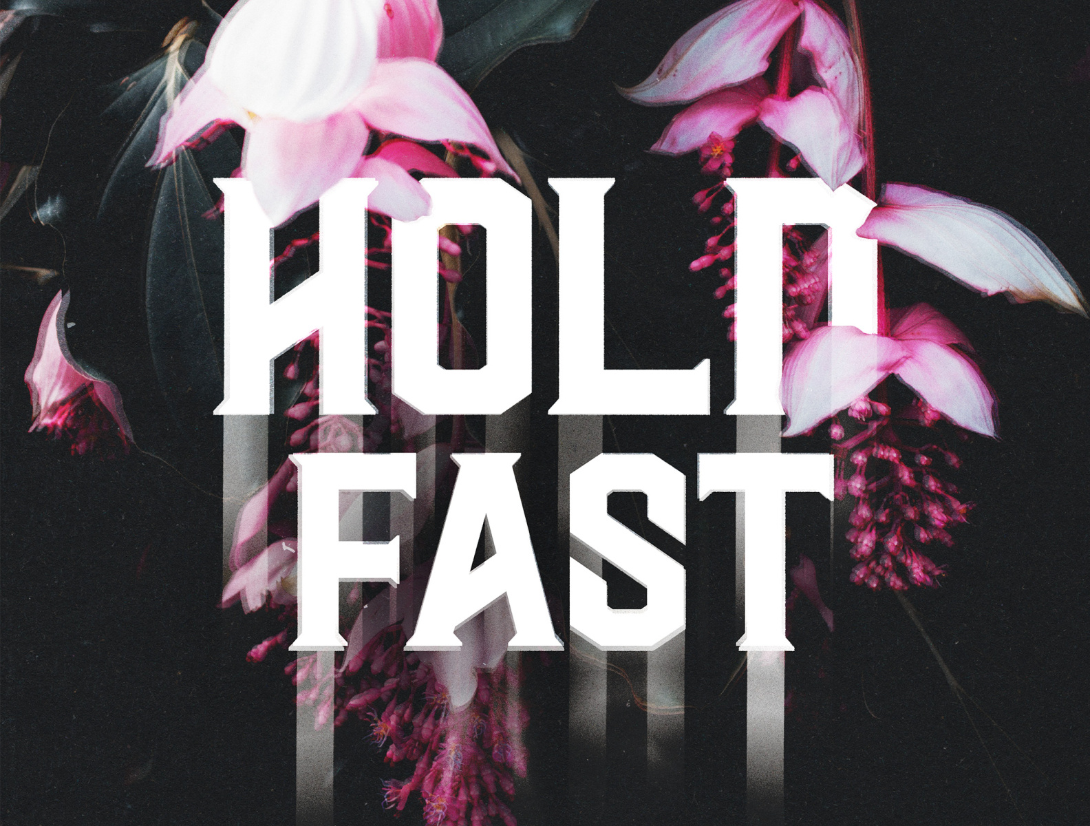 Hold Fast by Lauren Lewis on Dribbble