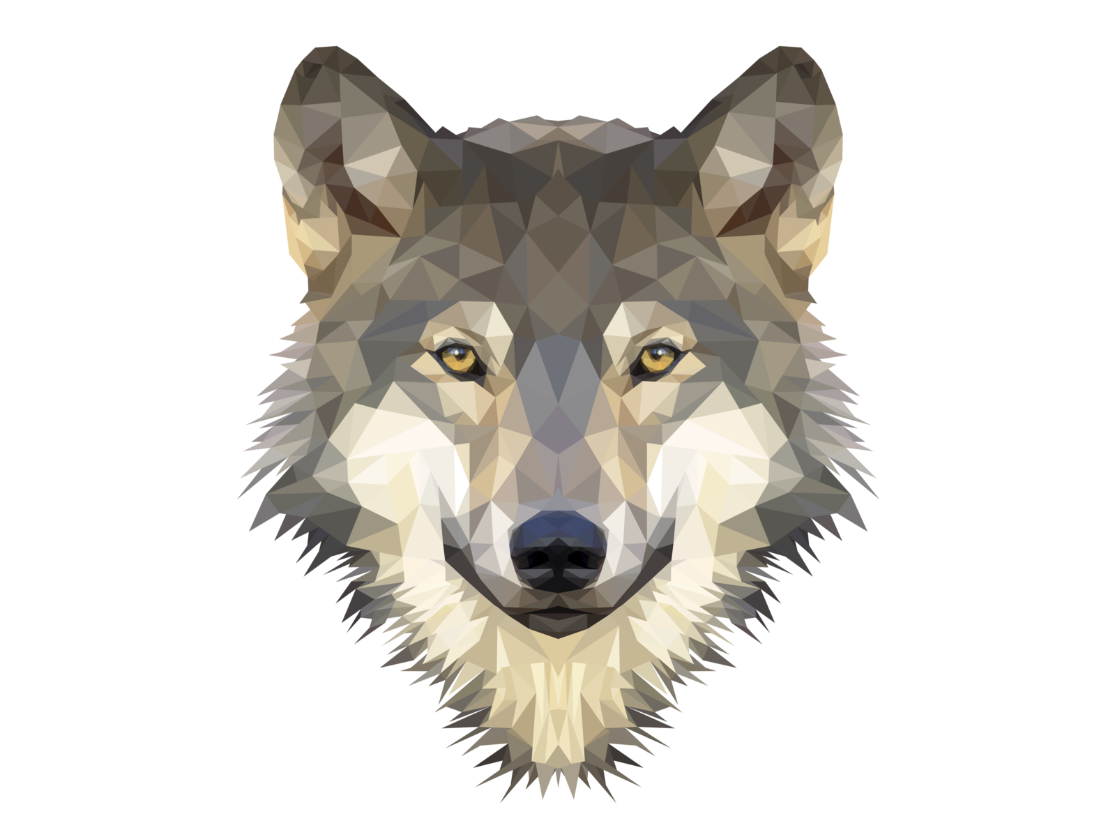Polygon Wolf by Adam Talik on Dribbble