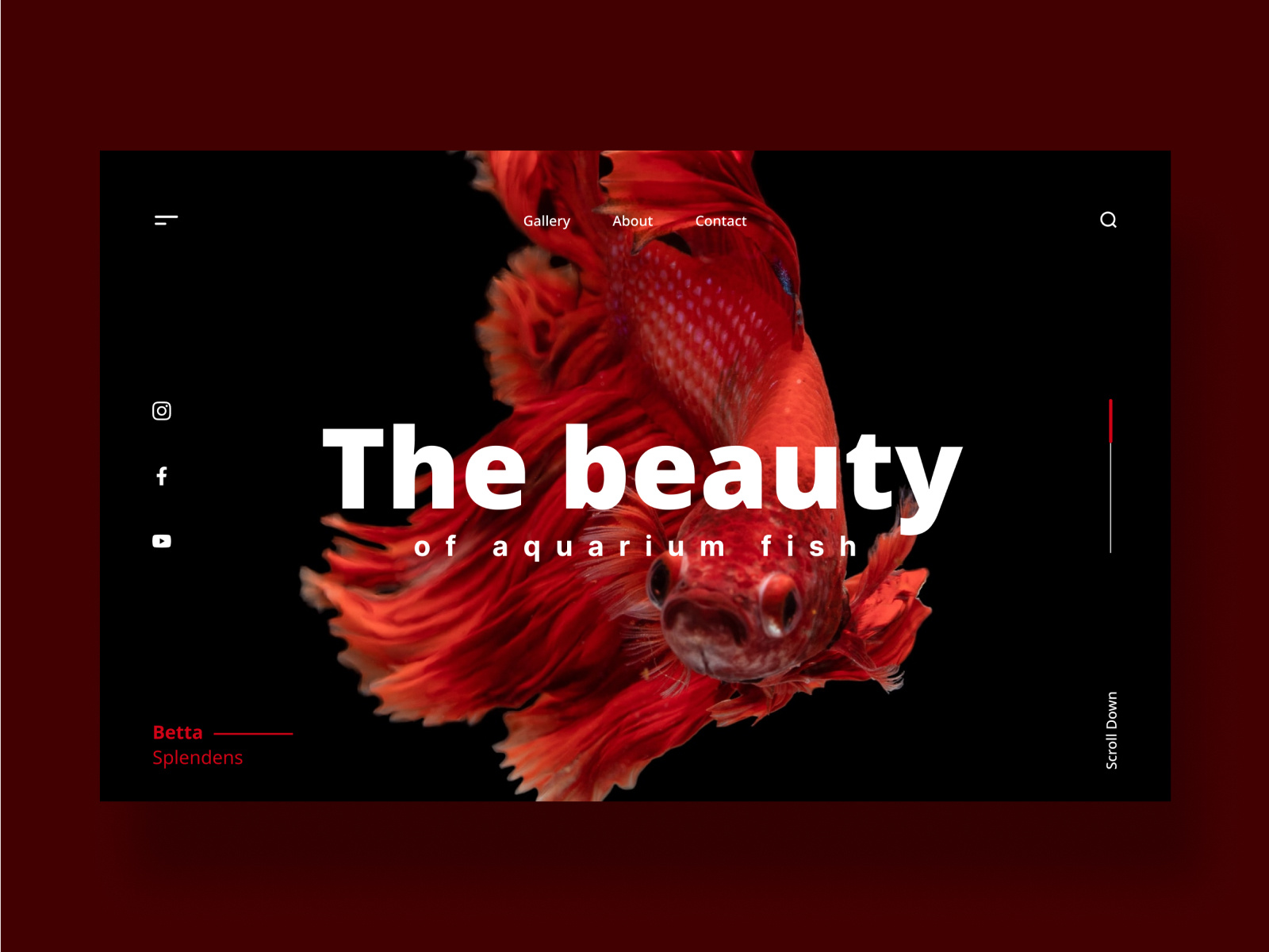 Aquarium fish landing page by Faisal Habibie on Dribbble