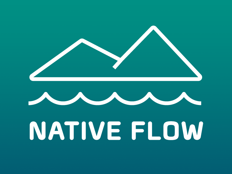 Native Flow Logo by Matnas Interactive on Dribbble