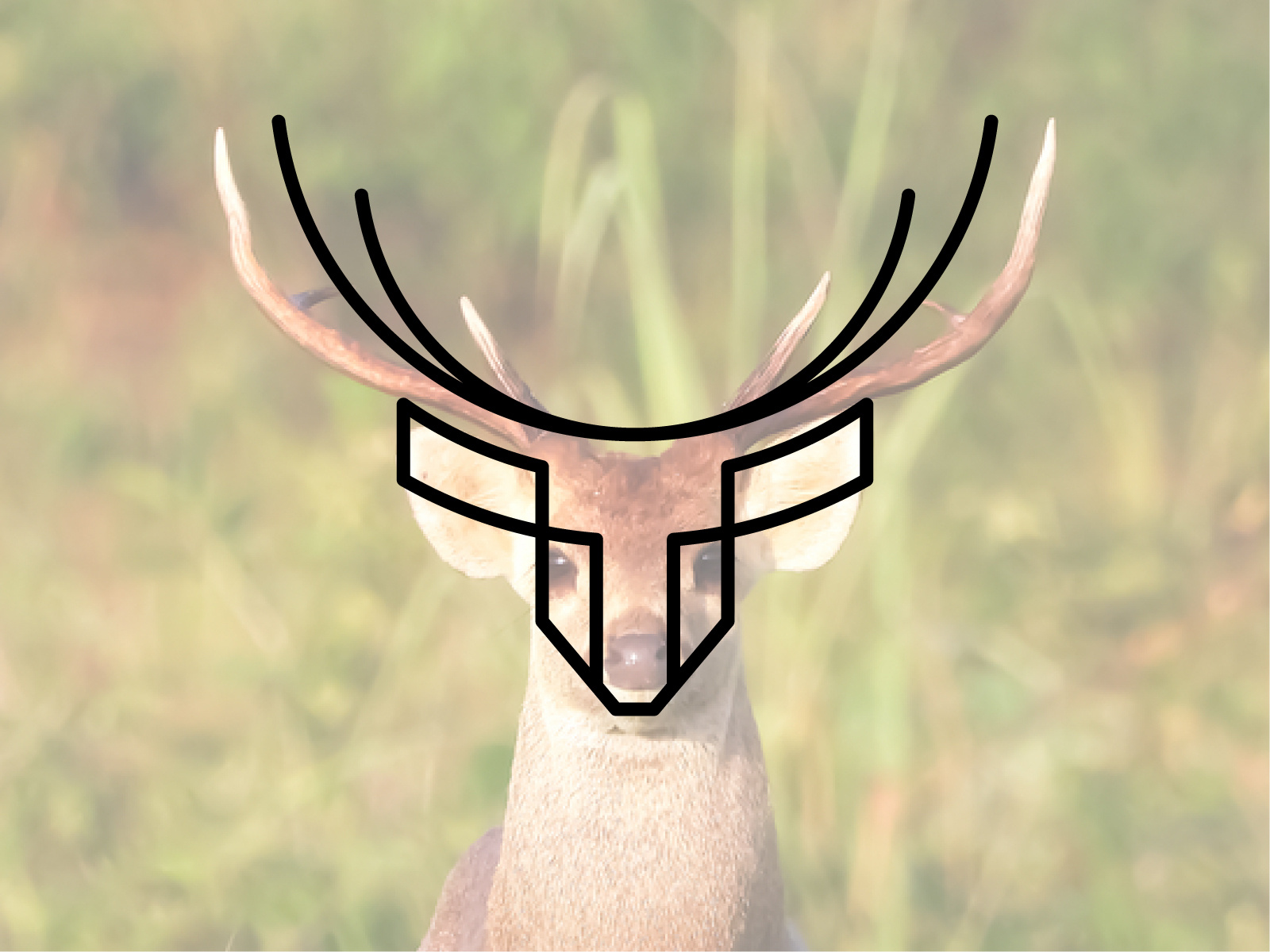 Dear Logo by Gazi Mazharul Anwar (Logo and Brand Identity Designer) on ...