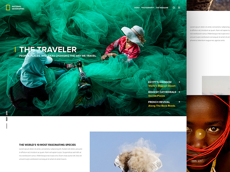 National Geographic Splash Page by Andrew Baygulov for Revølve Studio ...