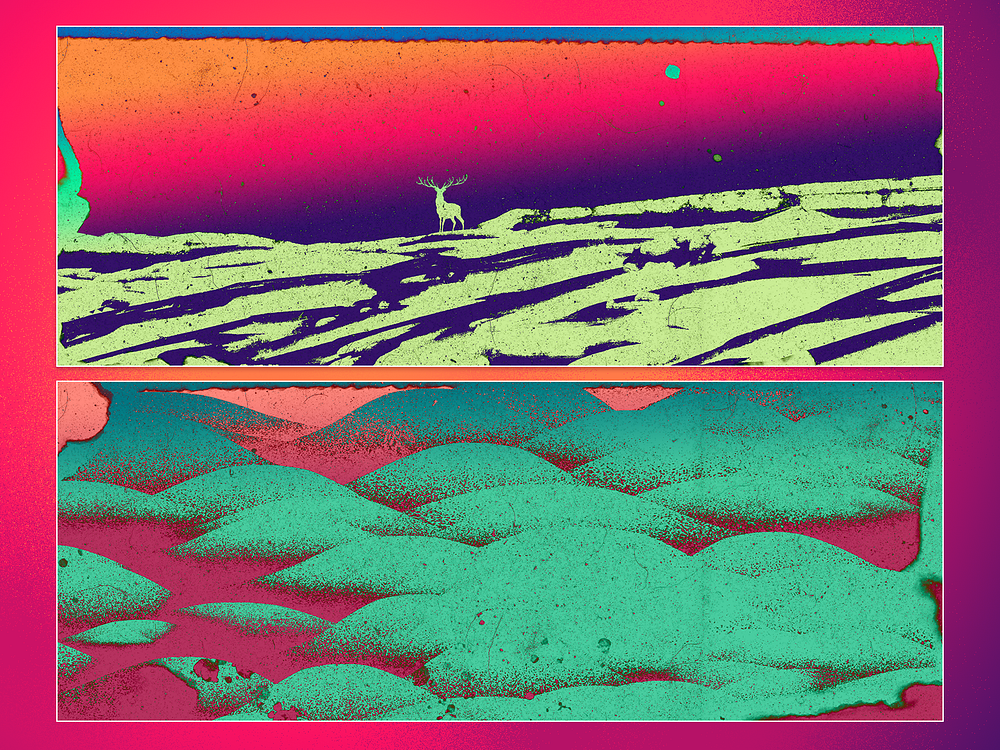 Brook Wells | Dribbble