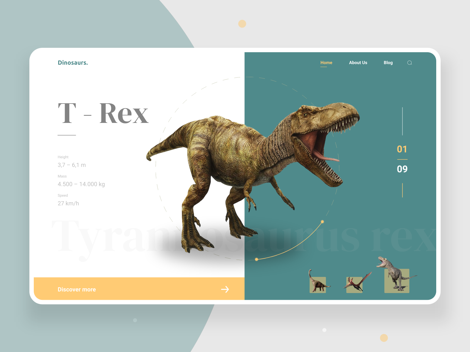 Dinosaur App Design Concept by Le Sy Long on Dribbble