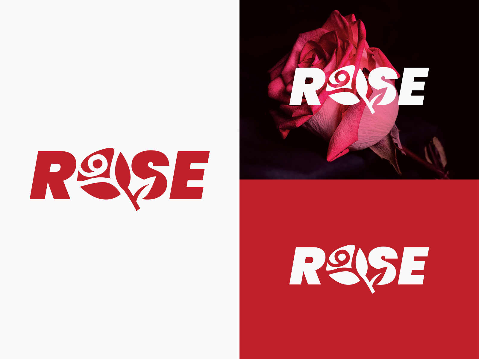 Rose Logo Design by Ramjan Hossain on Dribbble