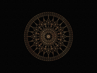 Moth by Jantine Zandbergen - Dribbble