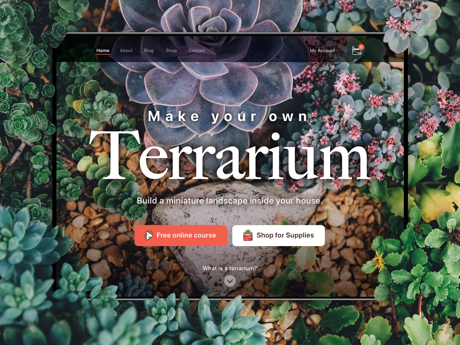 Terrarium Landing Page by Oswaldo Aguilar for Improving MX Product ...