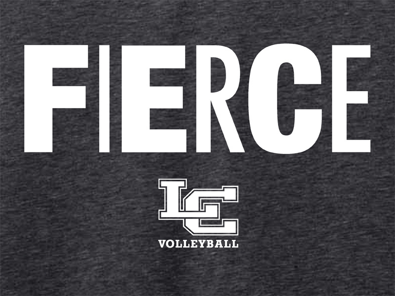 Fierce by Lyndsay Robertson on Dribbble