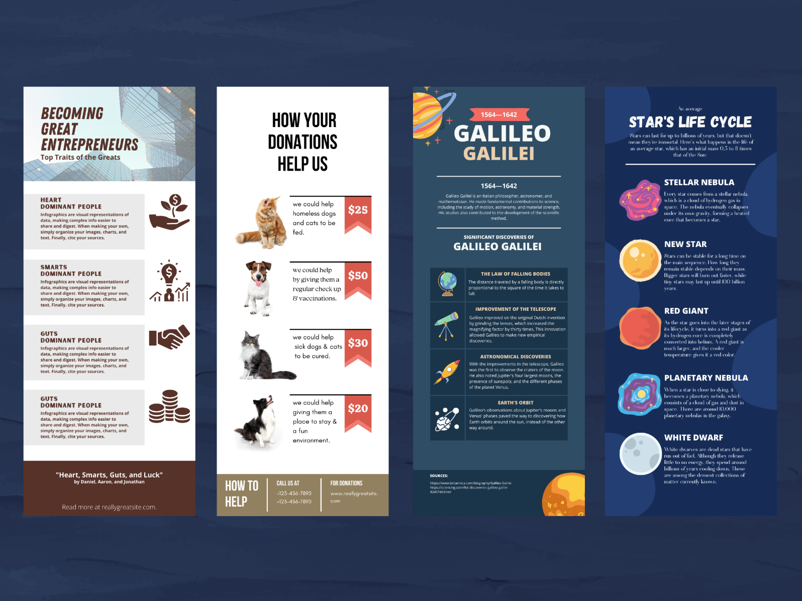 Infographic Canva Template by Svana Project on Dribbble