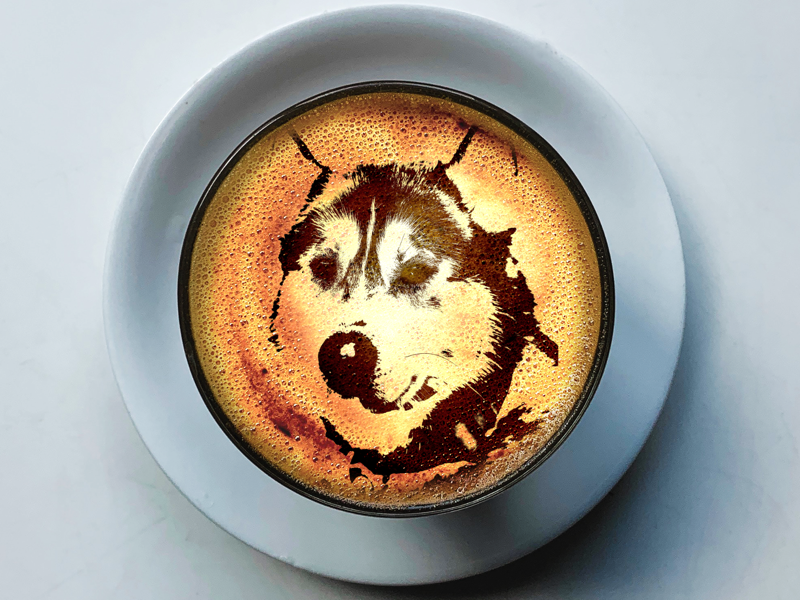 Go on holiday. by Danta Griffthy on Dribbble