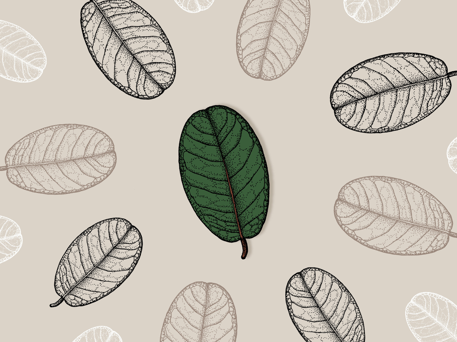 Leaf Pattern by Aura Luque on Dribbble